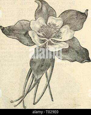 Dreer's garden calendar 1874 Stock Photo - Alamy