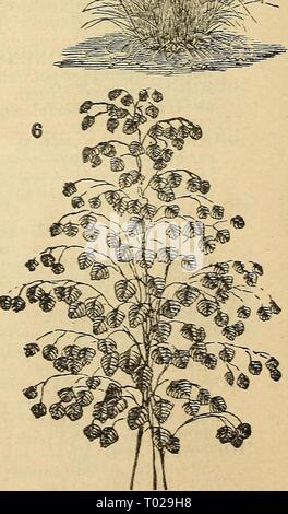 Dreer's garden calendar 1878 Stock Photo - Alamy