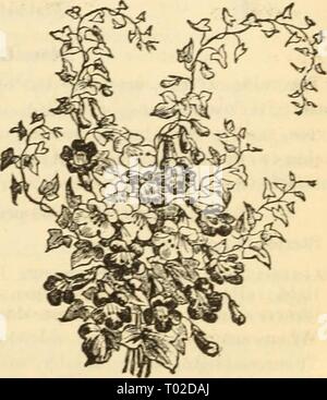 Dreer's garden calendar 1880 Stock Photo - Alamy