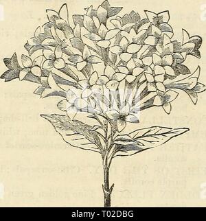 Dreer's garden calendar 1874 Stock Photo - Alamy