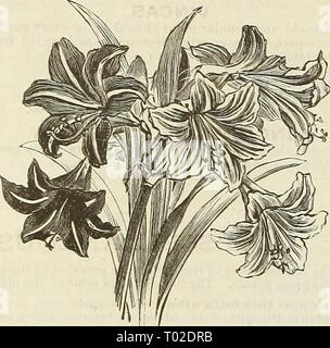 Dreer's garden calendar 1889 Stock Photo - Alamy