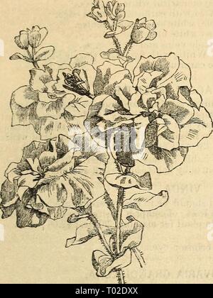 Dreer's garden calendar 1878 Stock Photo - Alamy