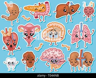Pancreas kawaii healthy character with smile. Drawing of a healthy ...