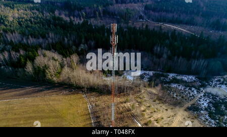 A forest with green tall trees and a satellite tower background Stock ...