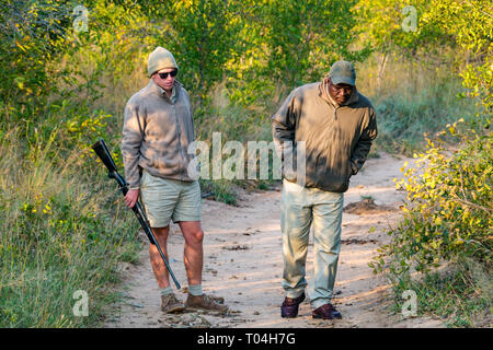 Guide with rifle and Black man tracker tracking animals in African bush ...