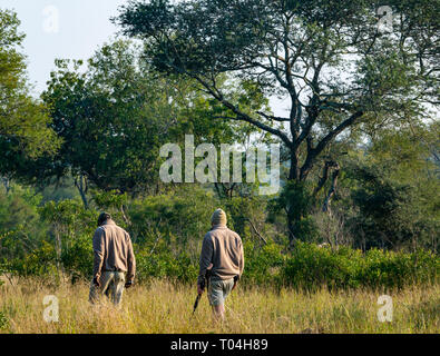 Guide with rifle and Black man tracker looking for animal tracks in ...