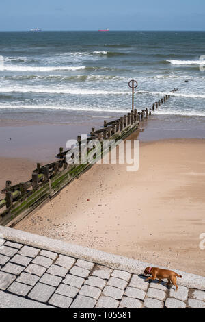 A beautiful sunny day on Aberdeen city beach in winter season, Scotland ...