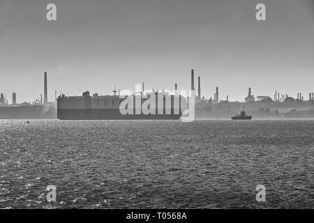 The EUKOR Car Carrier Ship MORNING PEACE, Enters The Port Of ...