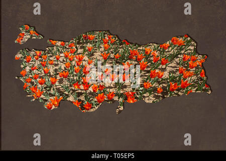 Roughly sketched out Map of Turkey as business concepts Stock Photo - Alamy