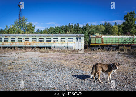 Old train in abandoned Yaniv town railway station, Chernobyl Nuclear ...