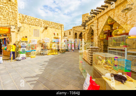 Doha, Qatar - February 19, 2019: pet shop and cages along pedestrian ...