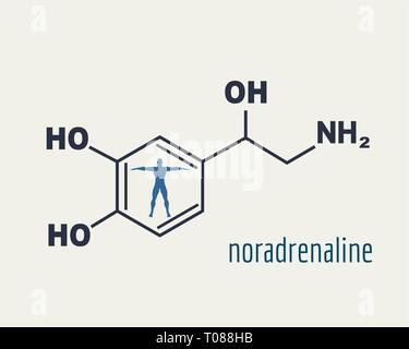 Structural chemical formula of hormone noradrenaline or norepinephrine ...