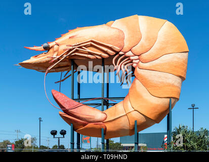 Big Prawn, The "Big Prawn" in Ballina, NSW, Australia Stock Photo - Alamy