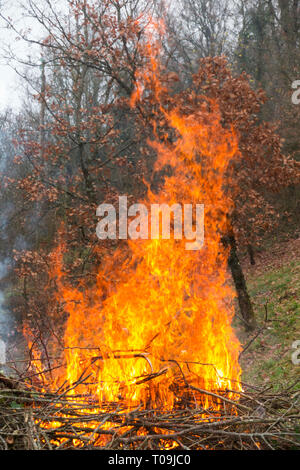 Garden fire with fierce flames with smoke fumes rising from a bonfire ...
