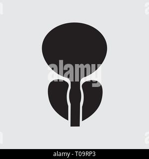 Medical illustration of benign prostatic hyperplasia, normal prostate ...