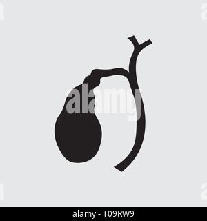 Illustration of Human gallbladder anatomy. Dyskinesia of the biliary ...