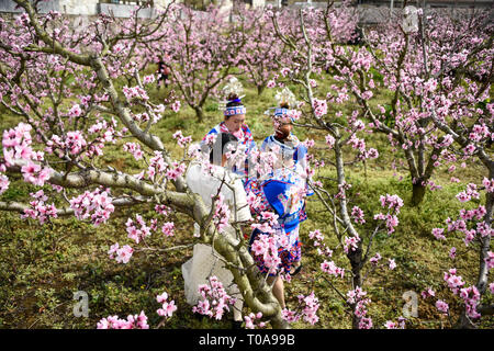 Guiyan, Guiyan, China. 19th Mar, 2019. Guiyang, CHINA-Plum blossoms ...