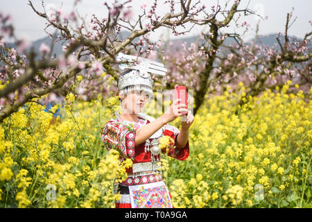 Guiyan, Guiyan, China. 19th Mar, 2019. Guiyang, CHINA-Plum blossoms ...