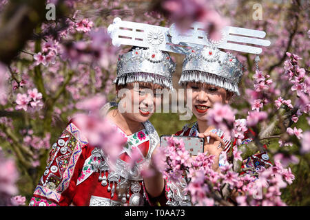 Blooming plum blossoms attract tourists in Yangzhou City, east China's ...