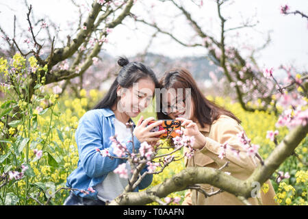 Guiyan, Guiyan, China. 19th Mar, 2019. Guiyang, CHINA-Plum blossoms ...