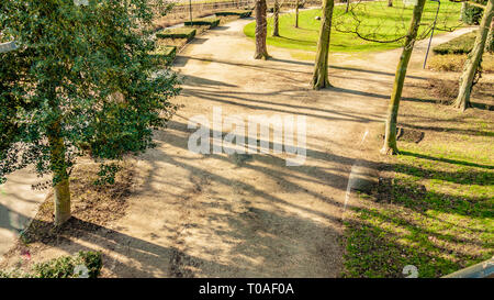 A forest path divides in two different directions Stock Photo - Alamy