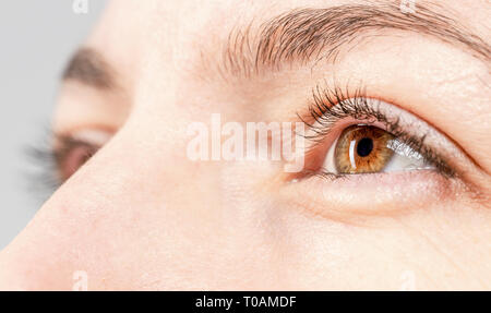 human eyse close-up Stock Photo - Alamy