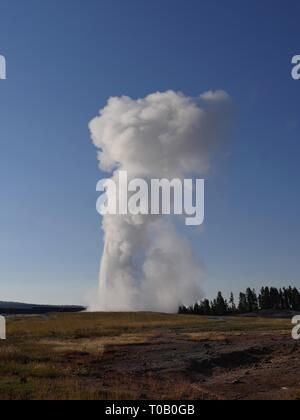 Wide shot of the Old Faithful geyser while waiting for the next ...