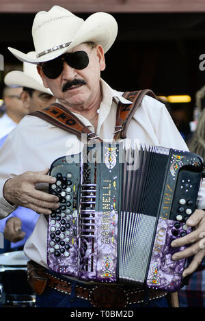 Mexican musician playing the accordion Stock Photo - Alamy