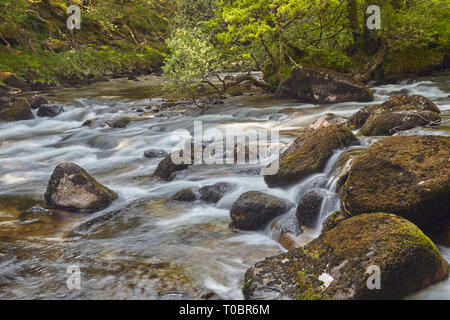 An upland river flowing over and around boulders as it flows downhill ...