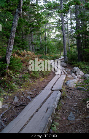 Winding Plank pathway through Acadia National Park in Maine/USA Stock ...