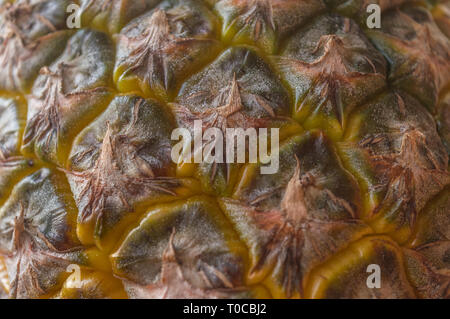 Shell of a pineapple showing clear details and texture, geometric ...