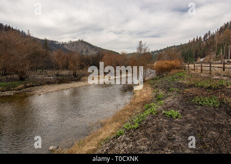 The Lolo Wildfires in Montana was a Level 1 fire which lasted from ...