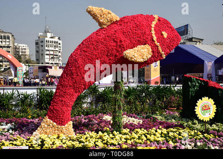 Fish with flowers, Flower Garden, Surat, Gujarat, India, Asia Stock ...