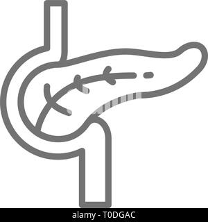 Pancreas outline vector icon. Thin line black pancreas icon, flat ...