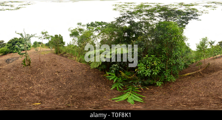 360° view of Farm, tropical ecosystem - Alamy