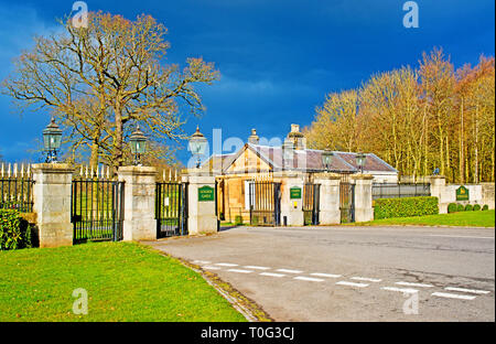 County Durham, Wynyard Hall, Golden Gates, England Stock Photo - Alamy