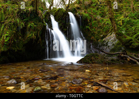 waterfall in Aberfforest, Pembrokeshire, Wales Stock Photo - Alamy