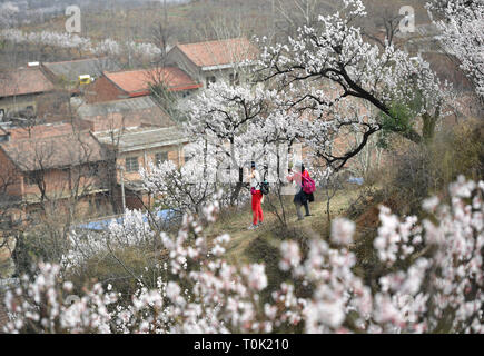 Xi'an, China's Shaanxi Province. 20th Feb, 2018. Drones are about to ...