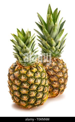 Two ripe fresh pineapples, isolated on white Stock Photo - Alamy
