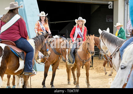 Cara Spirazza, 2019 Miss Rodeo Florida portrait on her horse at a rodeo ...