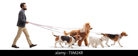 Dog sitter man walking with four dogs Stock Photo - Alamy