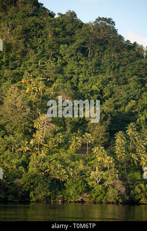 Rainforest, Gunung Banda Api Volcano, last eruption in 1988, Banda ...