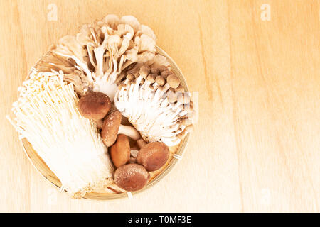 edible mushroom in bamboo forest Stock Photo - Alamy