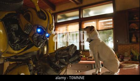 BUMBLEBEE (2018) TRAVIS KNIGHT (DIR) PARAMOUNT PICTURES/MOVIESTORE ...