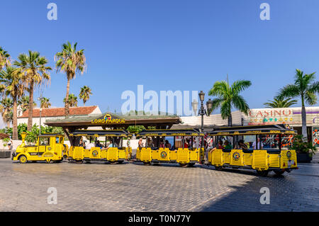 Loro Park Tourist Train Puerto de la Cruz Tenerife Stock Photo - Alamy