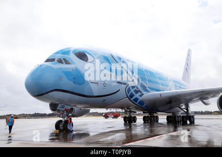 Airbus A380 airplane from ANA Airlines decorated with a sea turtle ...