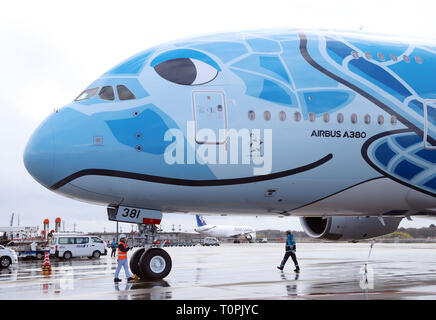 Airbus A380 airplane from ANA Airlines decorated with a sea turtle ...