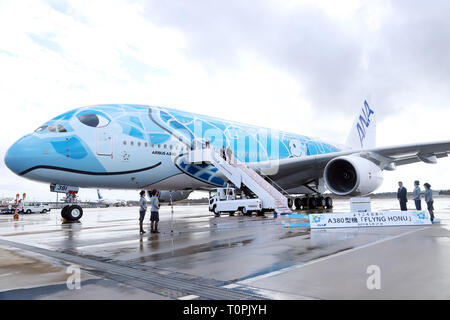 Airbus A380 airplane from ANA Airlines decorated with a sea turtle ...