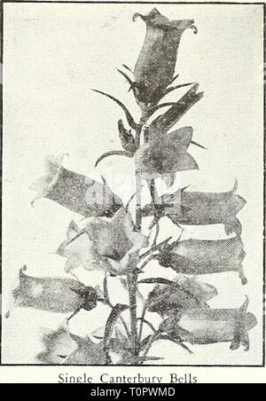 Dreer's 1948 - our 110th Stock Photo - Alamy