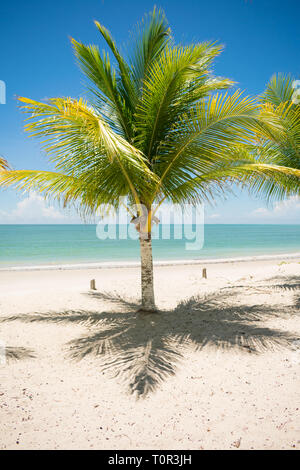 Island; Itamaraca; Pernambuco; Brazil Stock Photo - Alamy